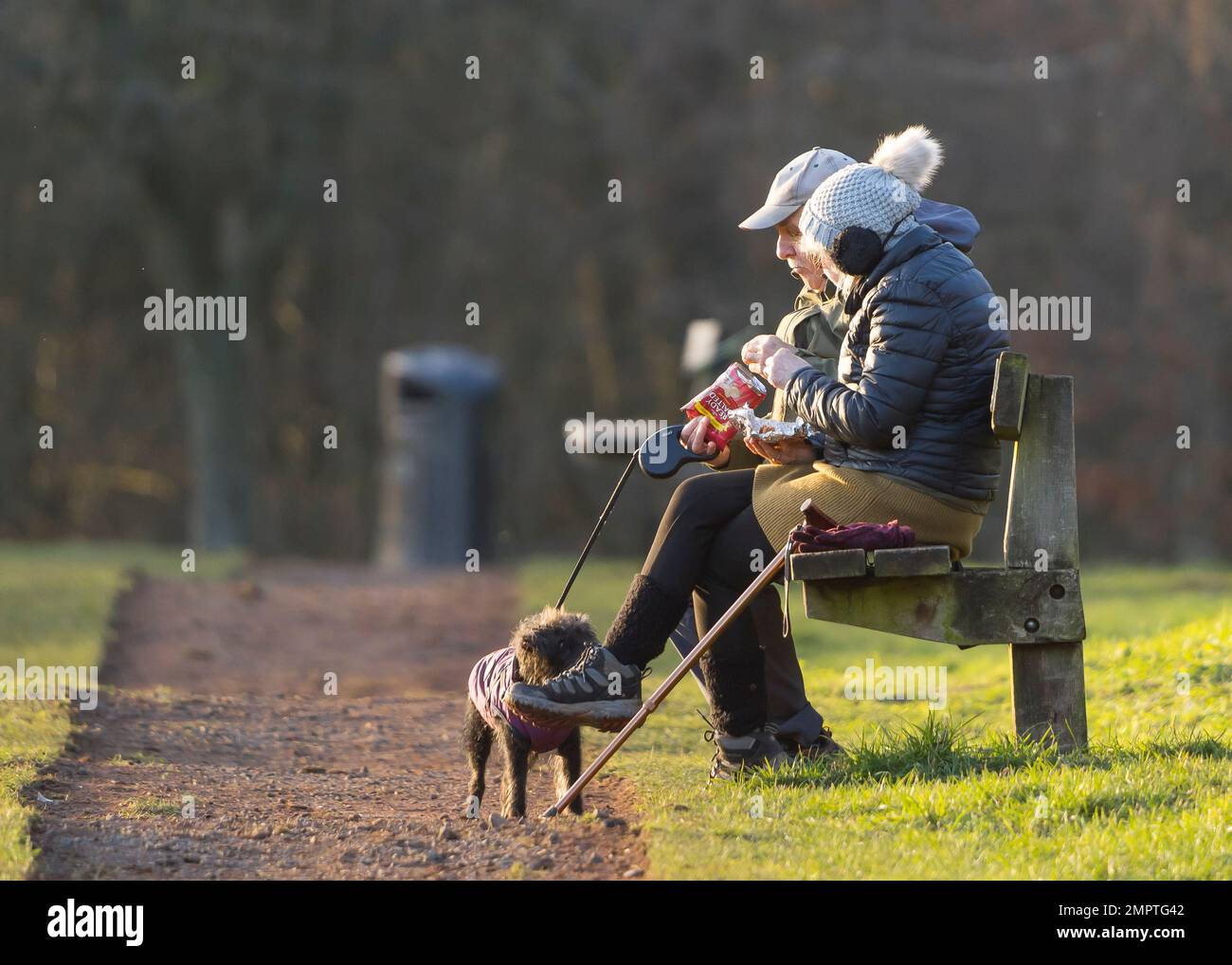 Cold dog cake hi-res stock photography and images - Alamy