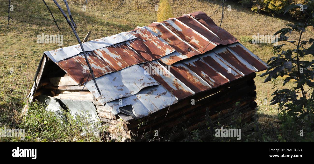 an old abandoned shack with a metal roof Stock Photo - Alamy