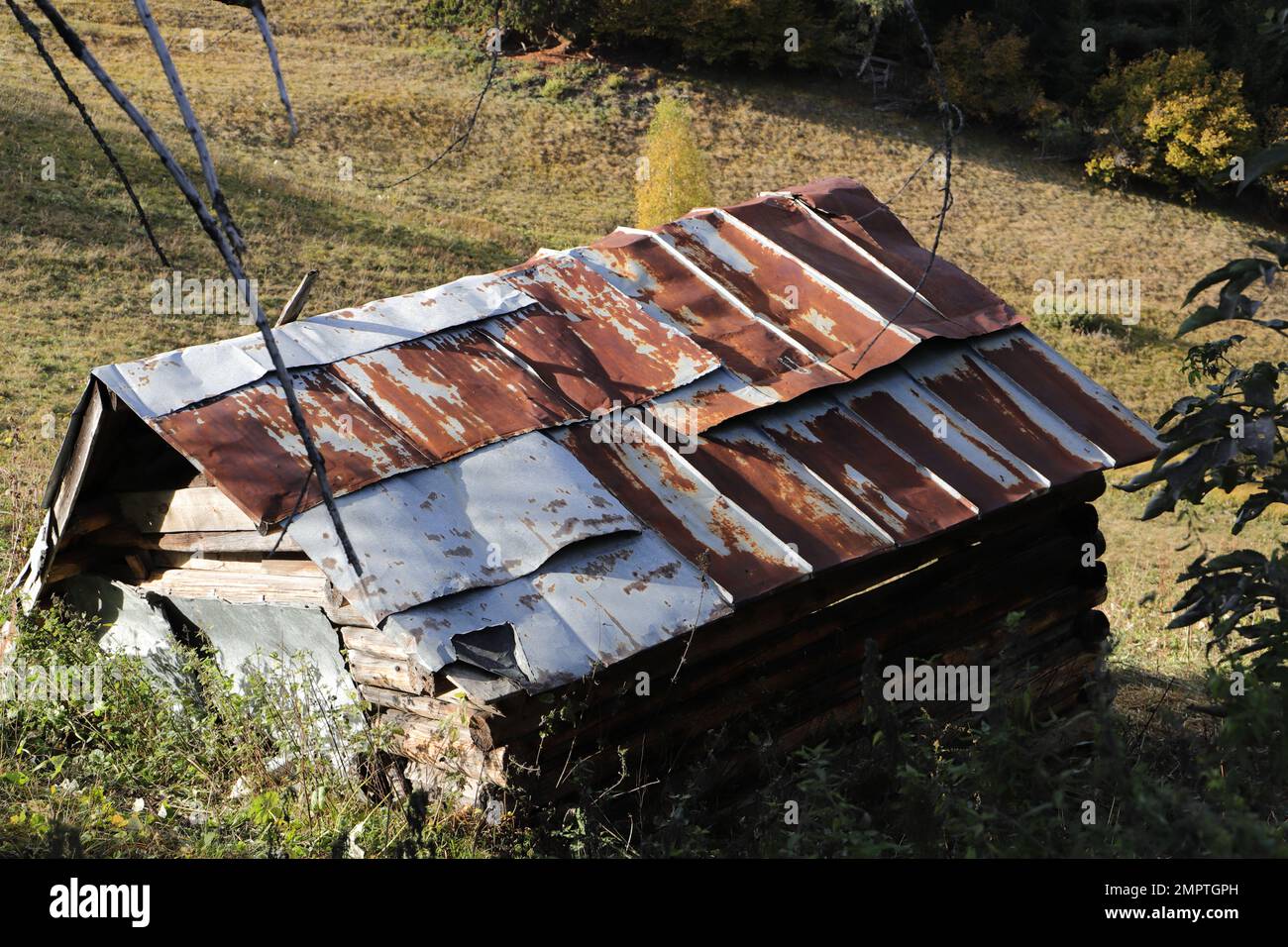 an old abandoned shack with a metal roof Stock Photo - Alamy