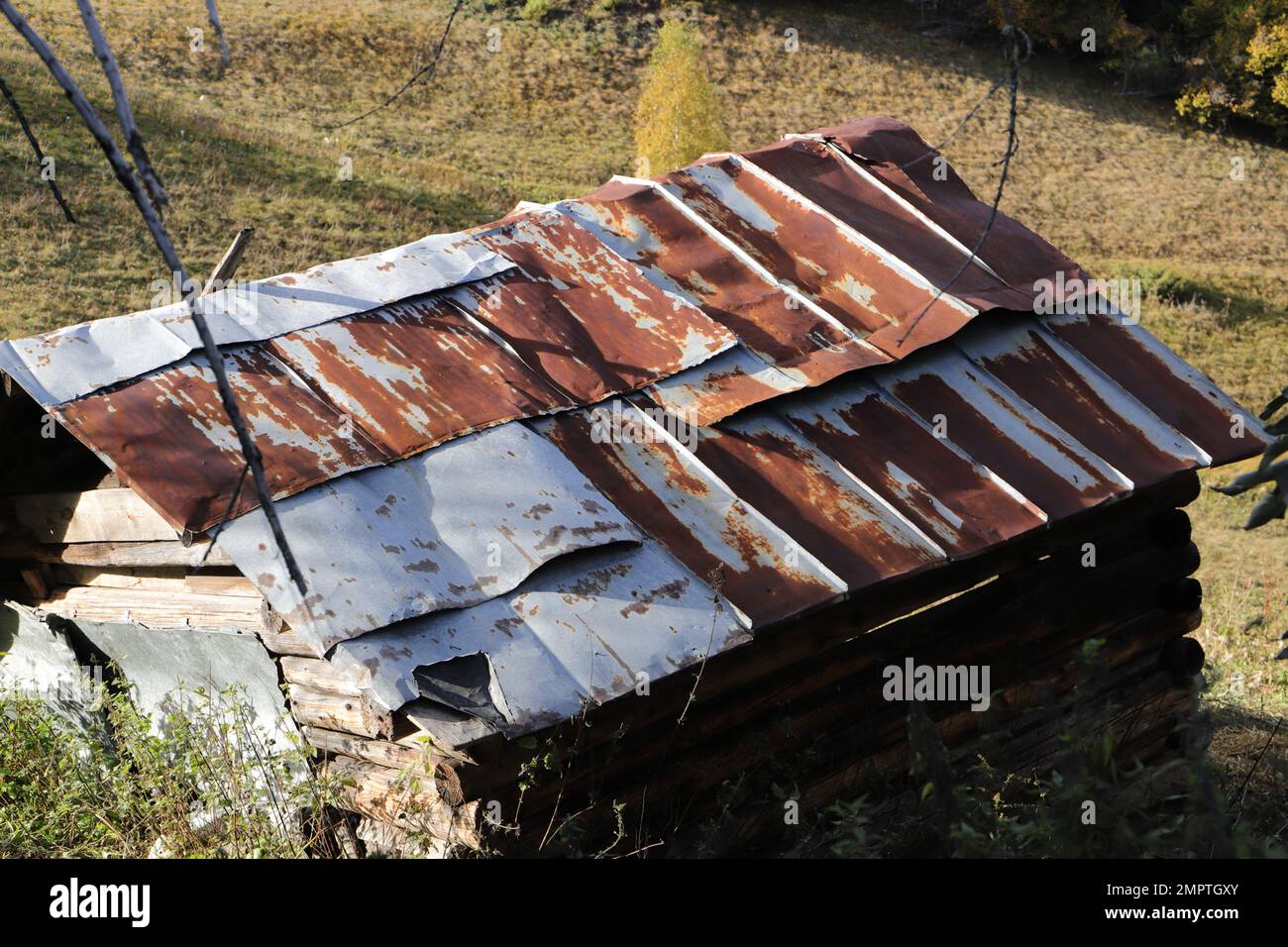 an old abandoned shack with a metal roof Stock Photo - Alamy