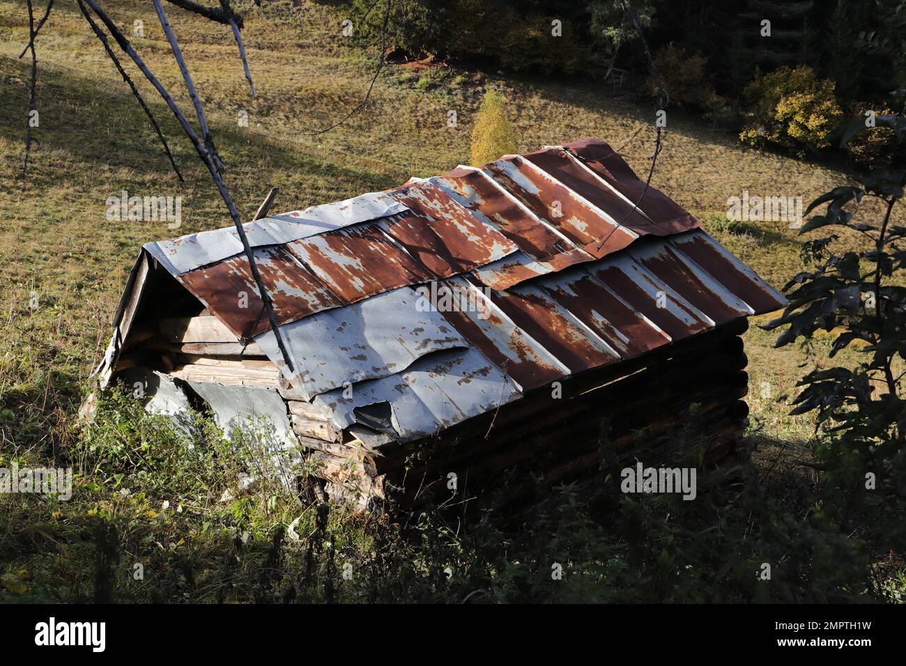 an old abandoned shack with a metal roof Stock Photo - Alamy
