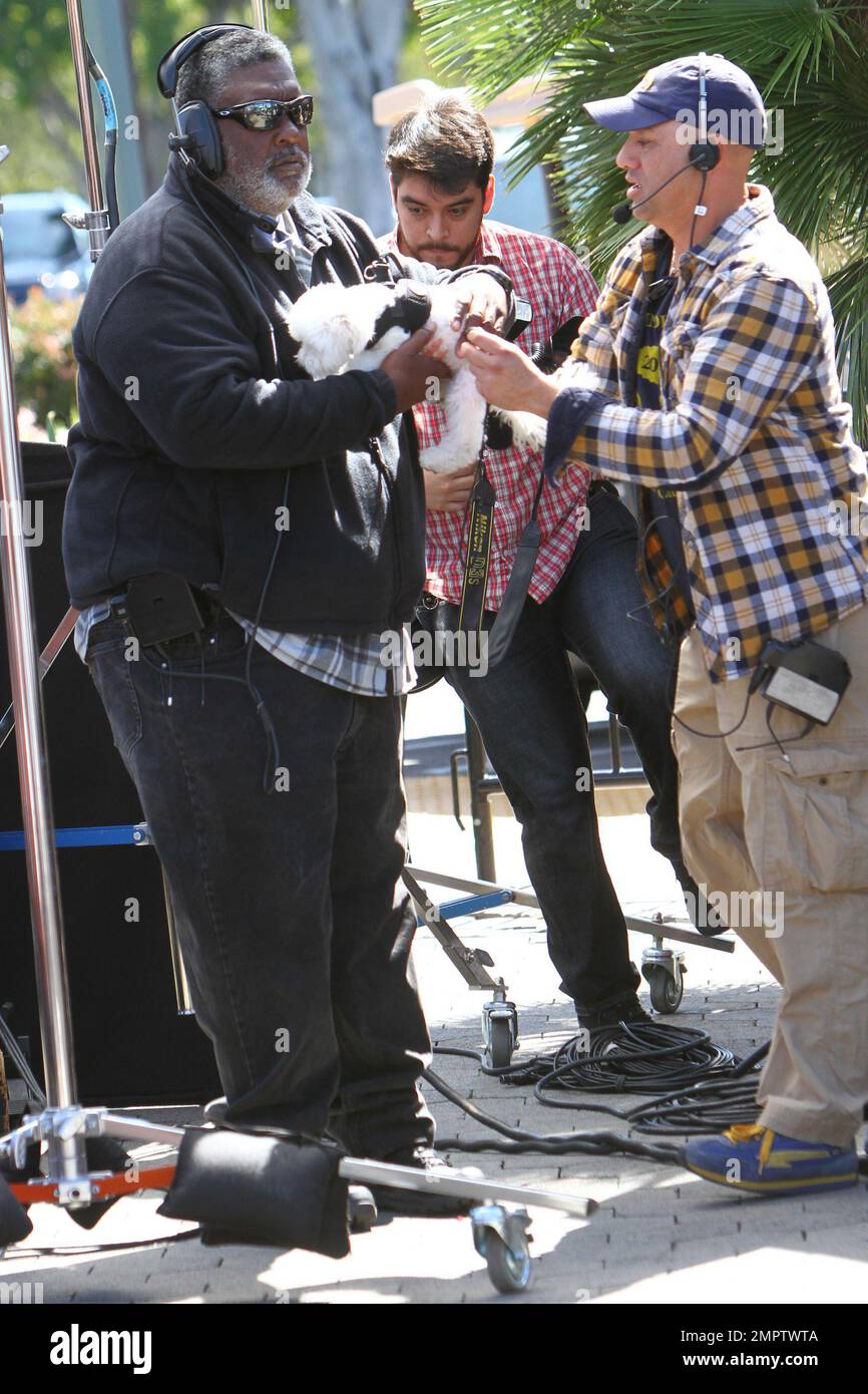 Demi Lovato and her dog Buddy on Extra TV at Universal Studios. Los ...