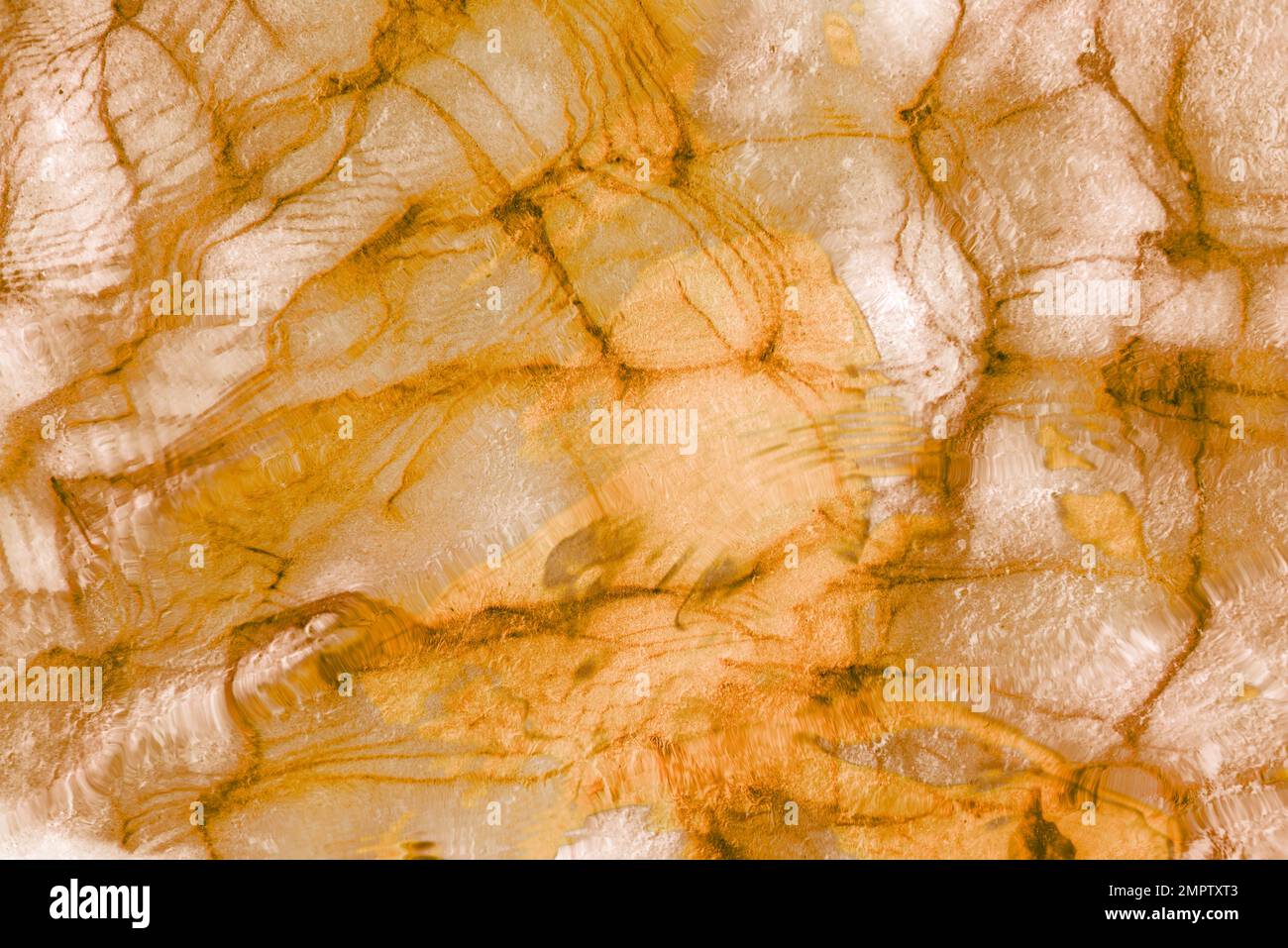 Abstract light surface with cracks or wrinkles of water or earth ...