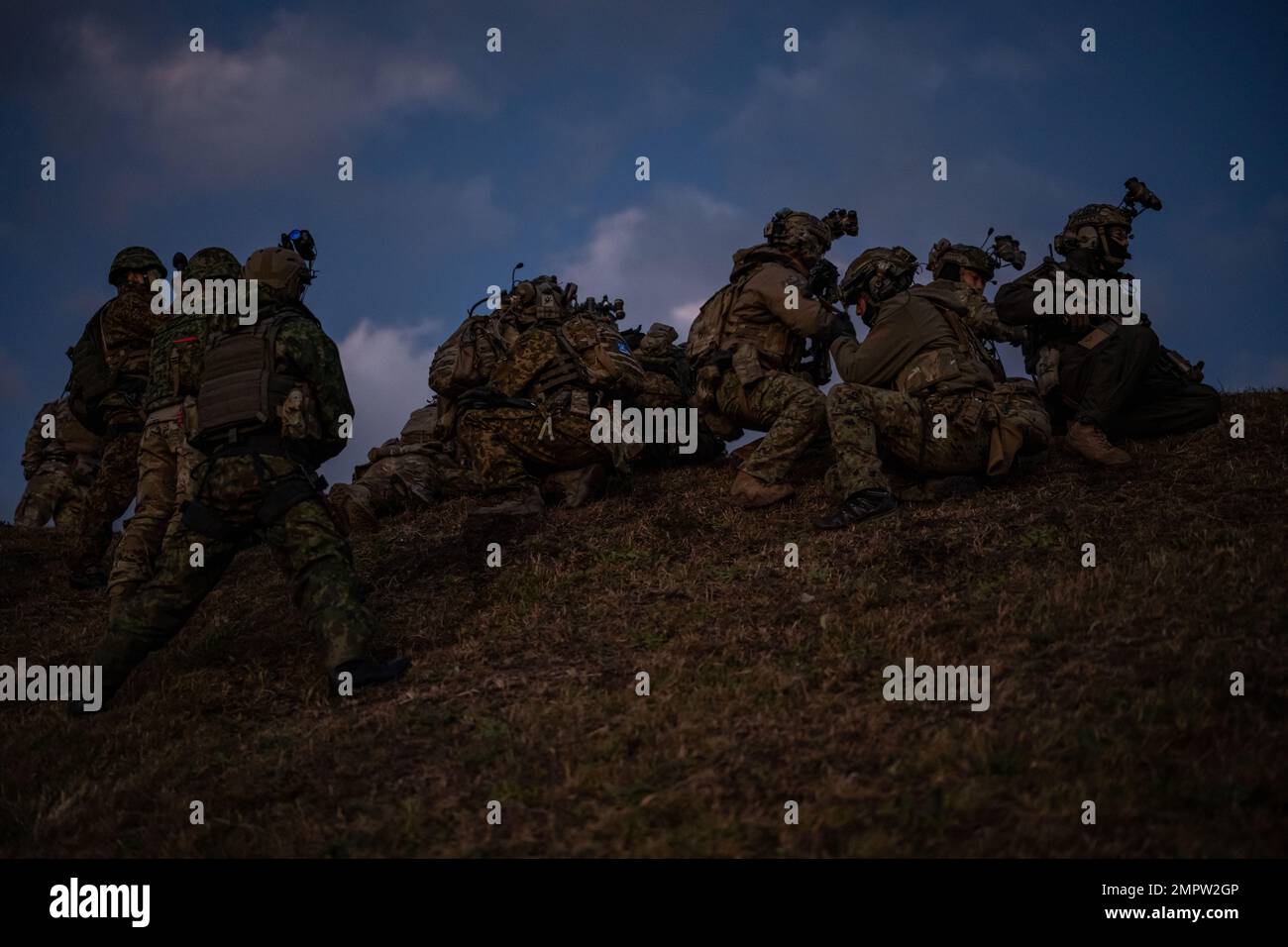 U.S. Army joint terminal attack controllers and Japan Self-Defense ...