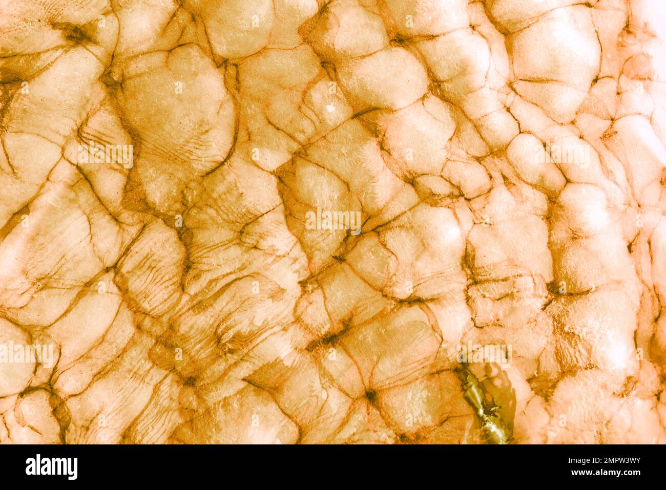 Unusual textures. Abstract non-existent light surface with cracks or ...