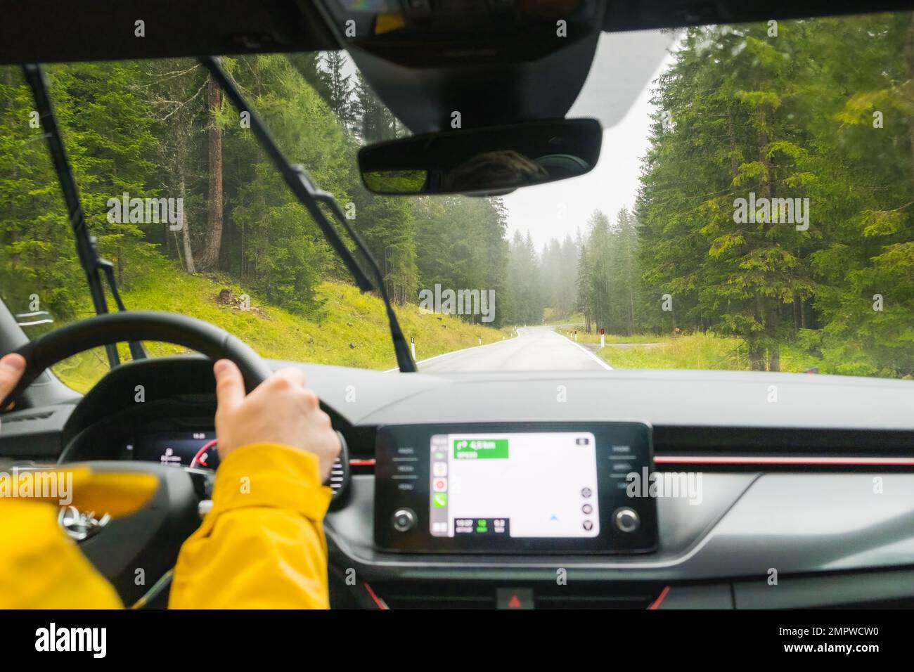 Tourist drives car through pass in Alpine mountains with high trees ...