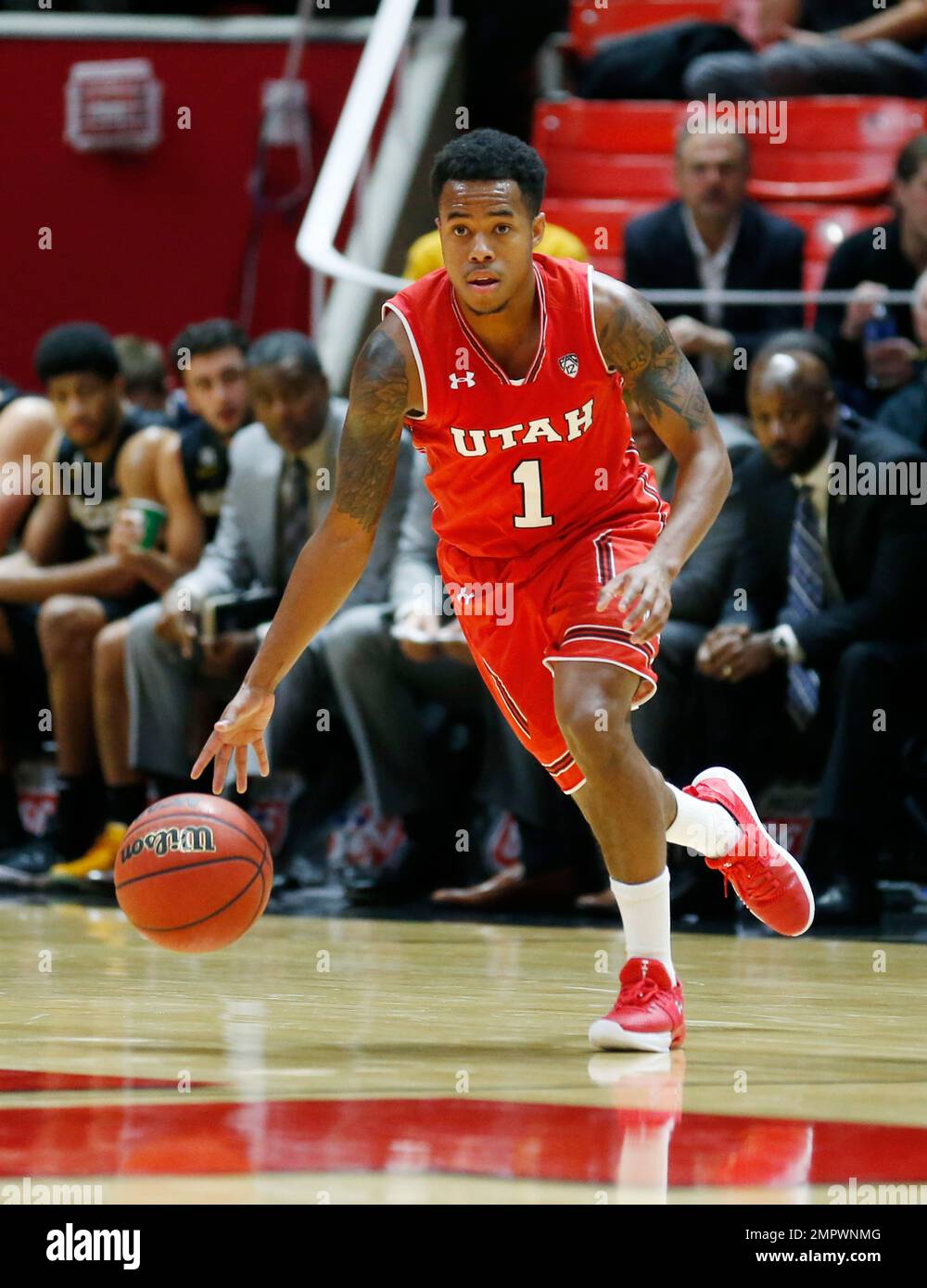 Utah guard Justin Bibbins (1) brings the ball up court in the second ...