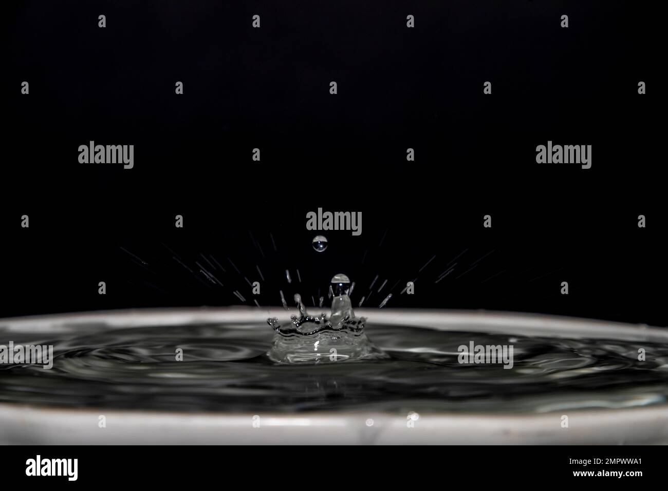 Clean water drops into clean water in white cup with black dark ...