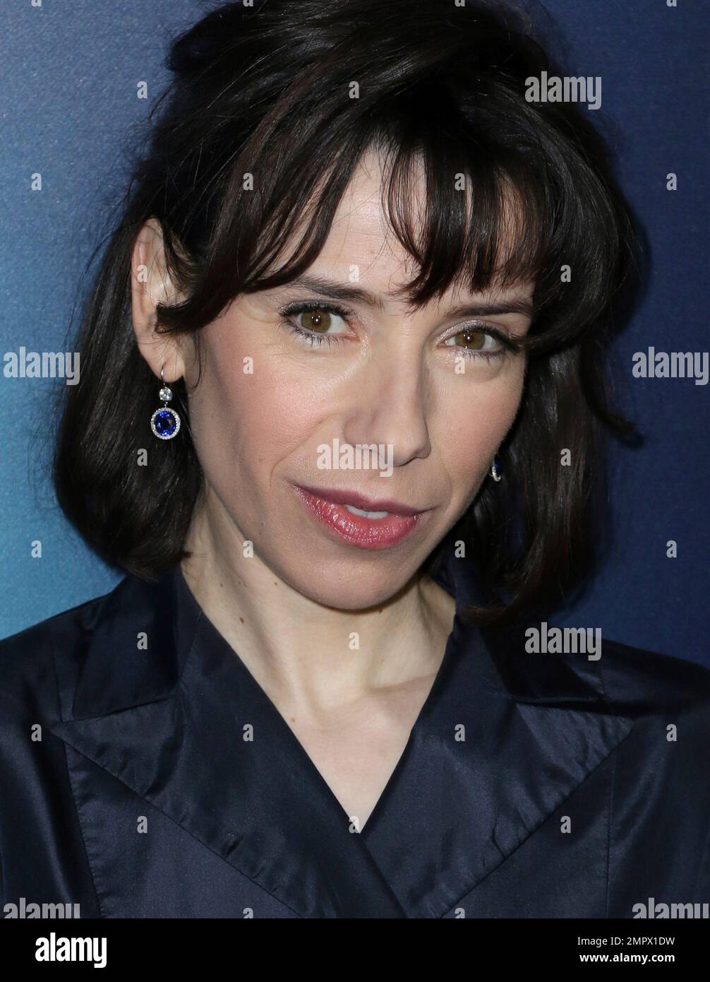 Sally Hawkins arrives at the LA Premiere of "The Shape of Water" at the ...