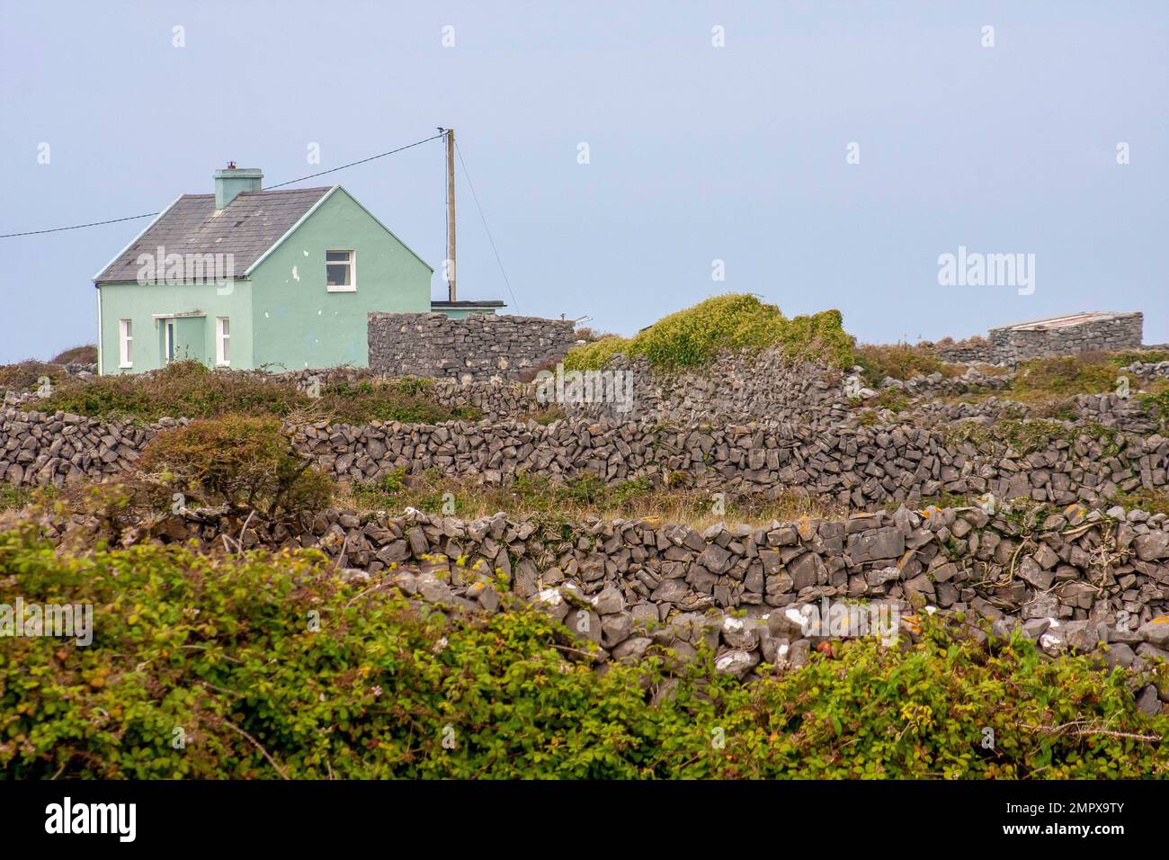 Rural Life Ireland a green-painted rural farmhouse in Ireland beside ...