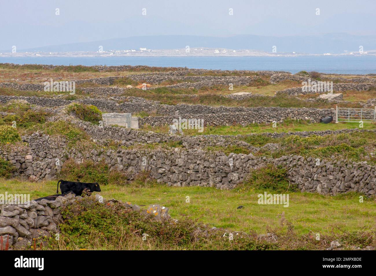 Inisherin film location hi-res stock photography and images - Alamy