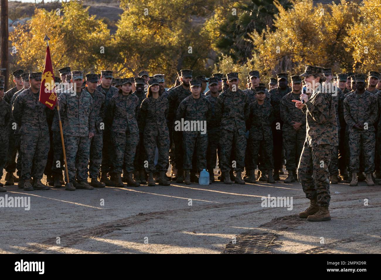 U.S. Marine Corps Col. Taunja Menke, commanding officer of 1st Supply ...