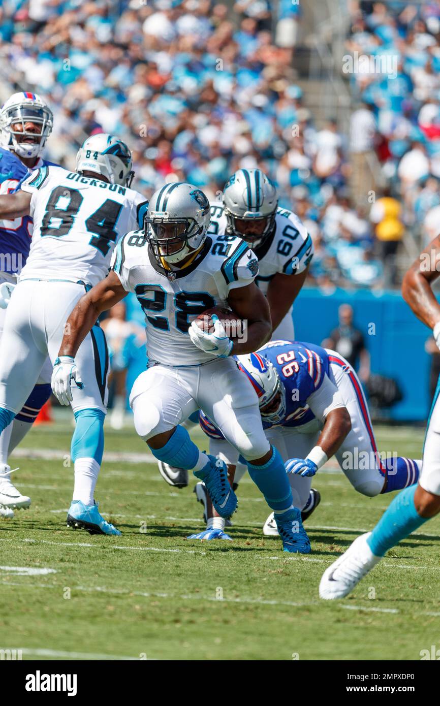 Carolina Panthers running back Jonathan Stewart (28) runs with the ball ...