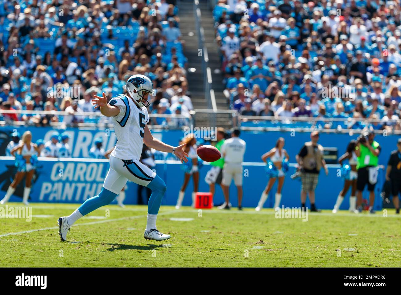 Carolina Panthers punter Michael Palardy (5) punts the ball against the ...