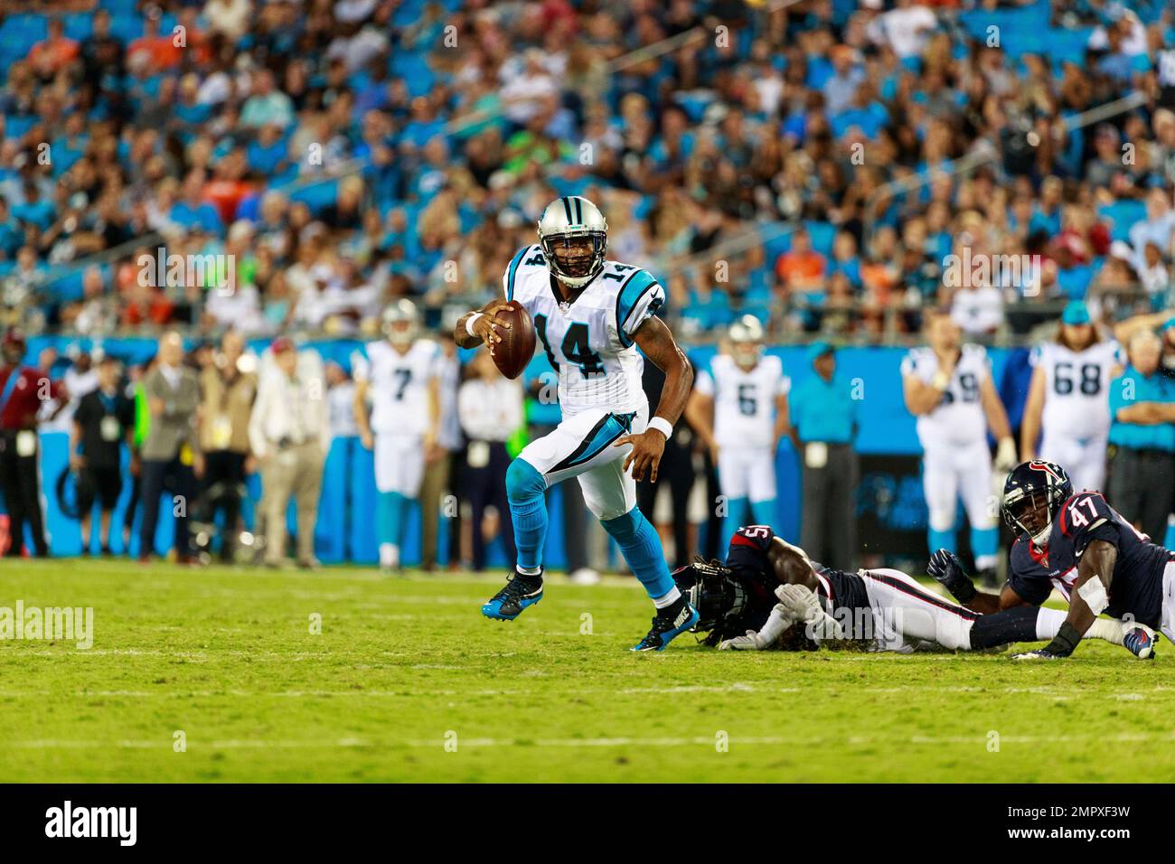 Carolina Panthers quarterback Joe Webb (14) in action against the ...