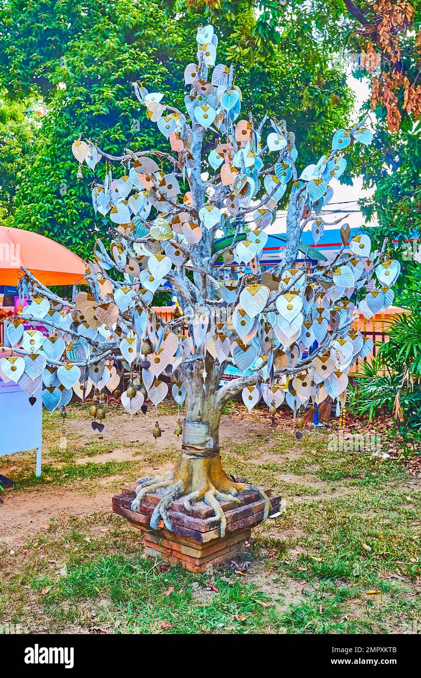 The Bodhi Tree (Bo, Po, Pho Tree) with silver prayer leaves in garden ...