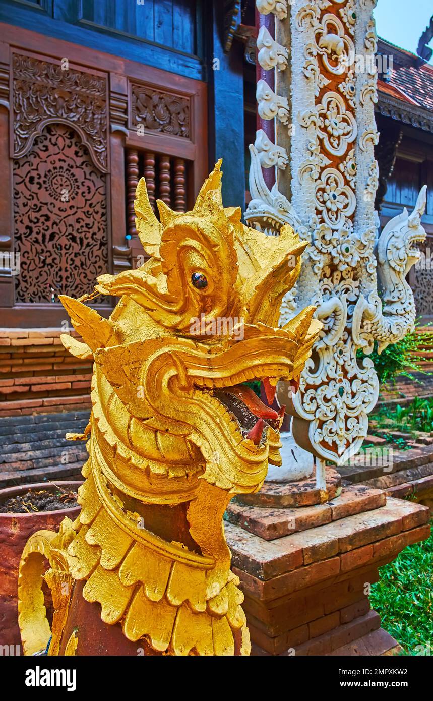 Golden singha head hi-res stock photography and images - Alamy