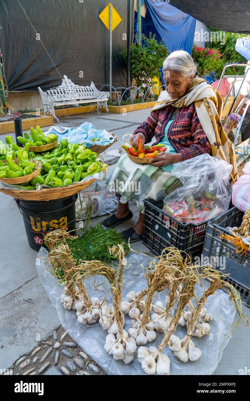 An older indigenous woman sells produce in the market in Ocotlan de ...