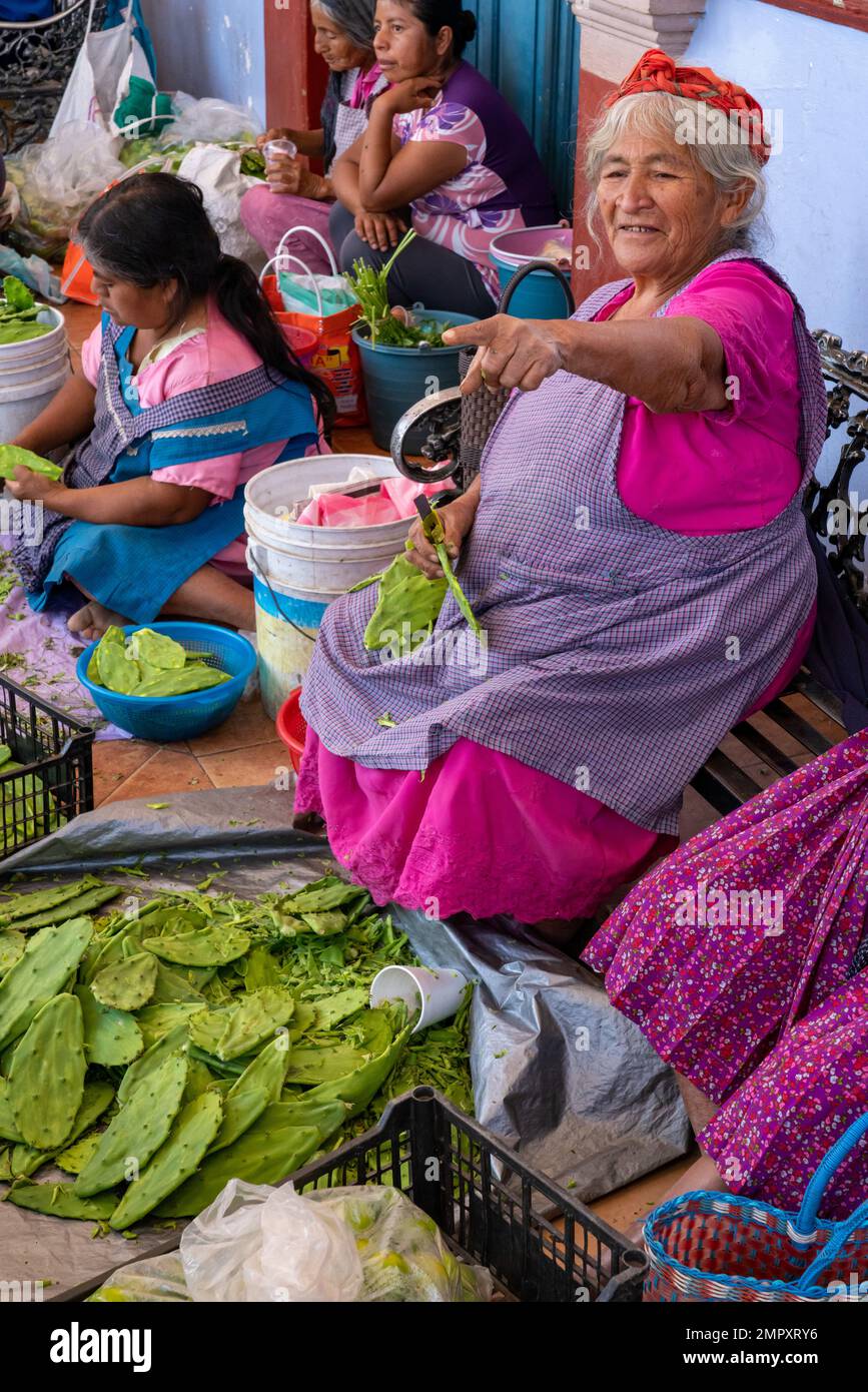 Cactus de nopal hi-res stock photography and images - Alamy