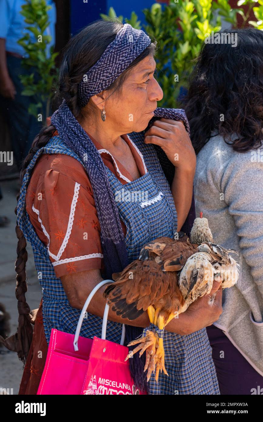 An indigenous Zapotec woman in traditional dress selling a chicken in ...