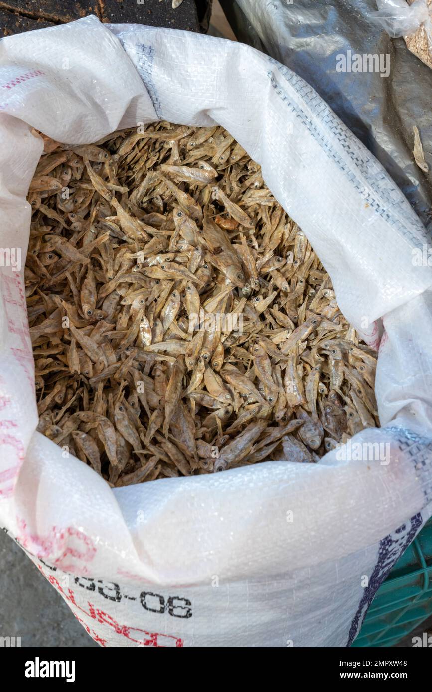 Small dried fish hi-res stock photography and images - Alamy