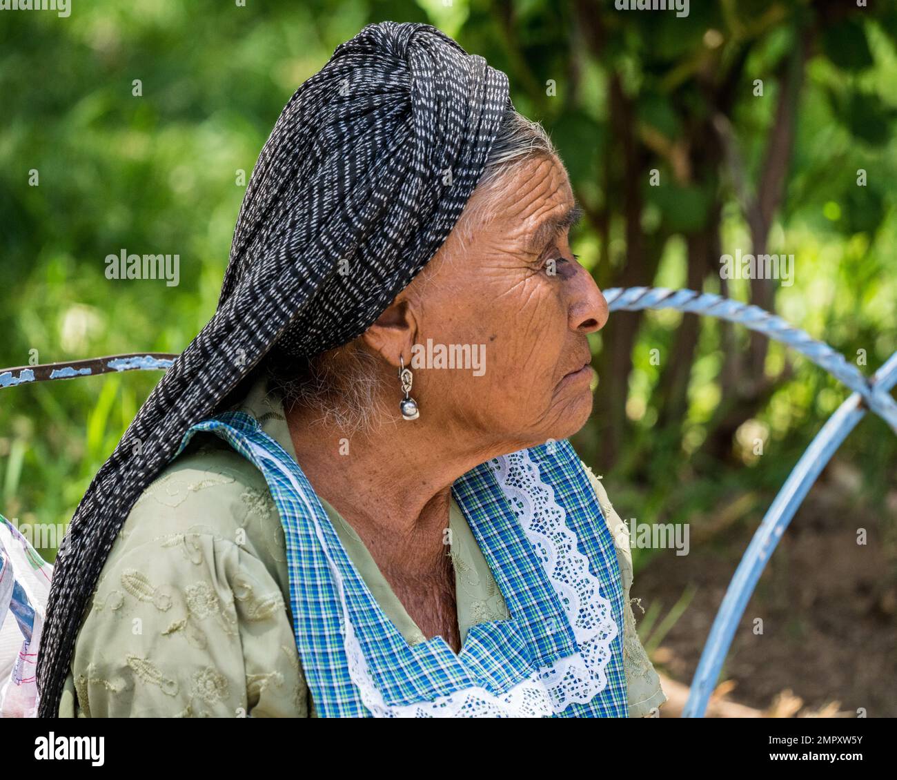 An indigenous Zapotec woman in traditional dress in the market in ...