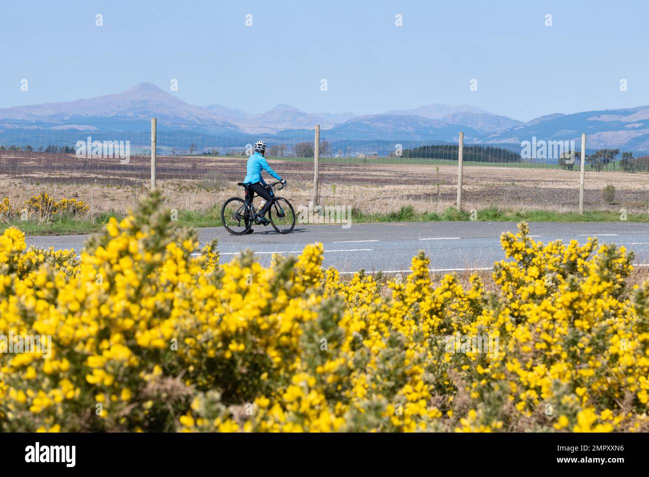 Female cyclist enjoying the view between Fintry and Kippen from the ...