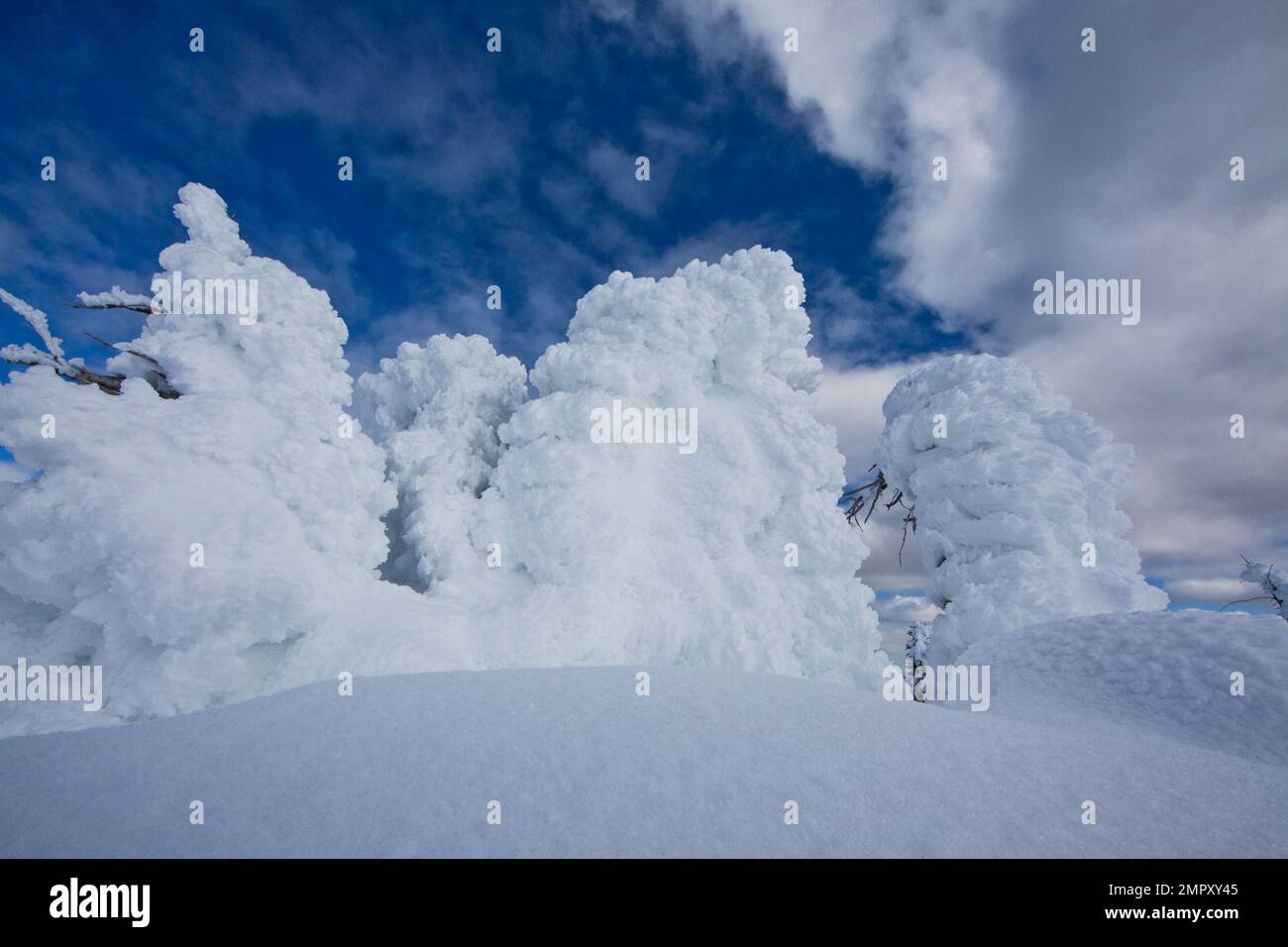 Snow ghosts hi-res stock photography and images - Alamy