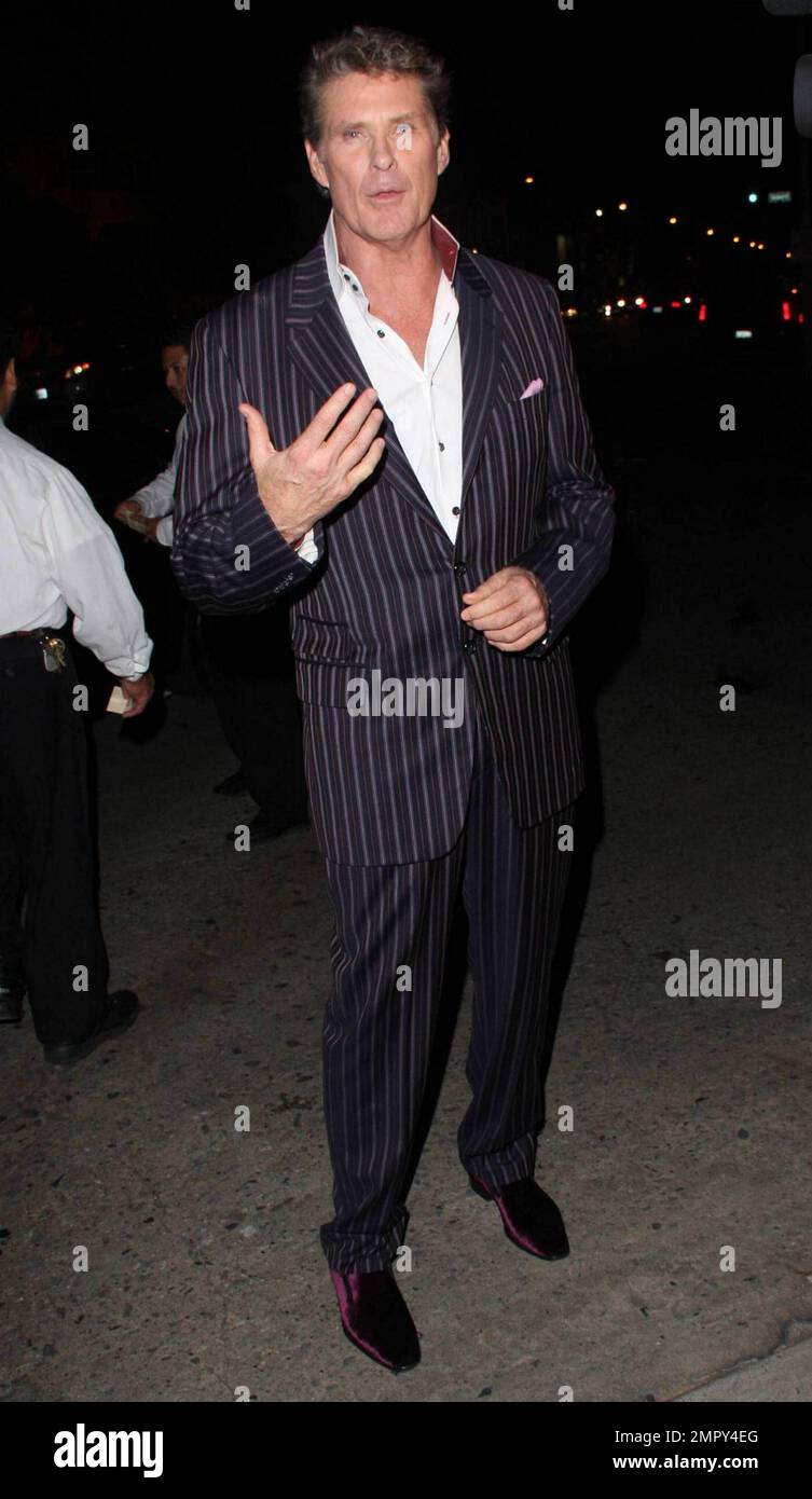 Clad in maroon suede shoes and a pinstriped suit David Hasselhoff ...