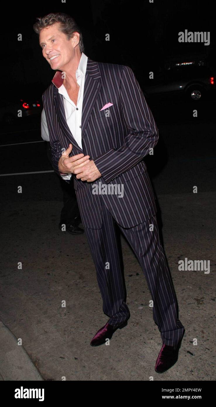 Clad in maroon suede shoes and a pinstriped suit David Hasselhoff ...
