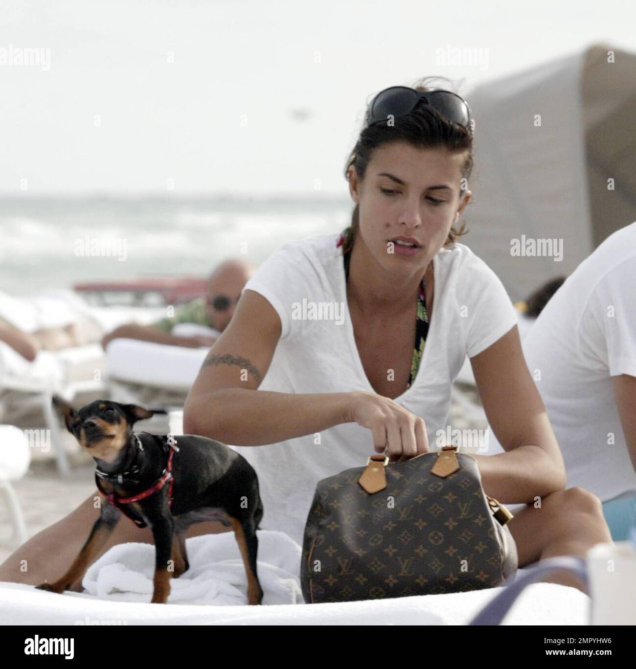 Elisabetta Canalis Relaxes With Her Pooch And Pals On The Beach In Miami Fl Canalis Appeared