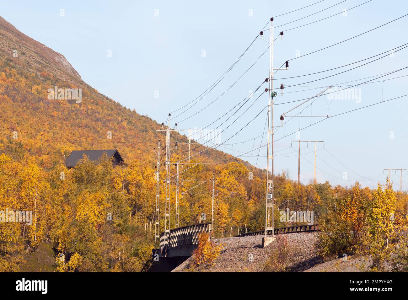 Power line, and bridge in the birch forest, wires of electricity ...
