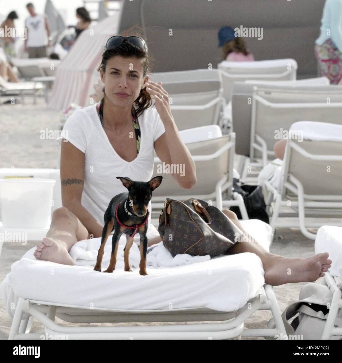 Elisabetta Canalis Relaxes With Her Pooch And Pals On The Beach In Miami Fl Canalis Appeared