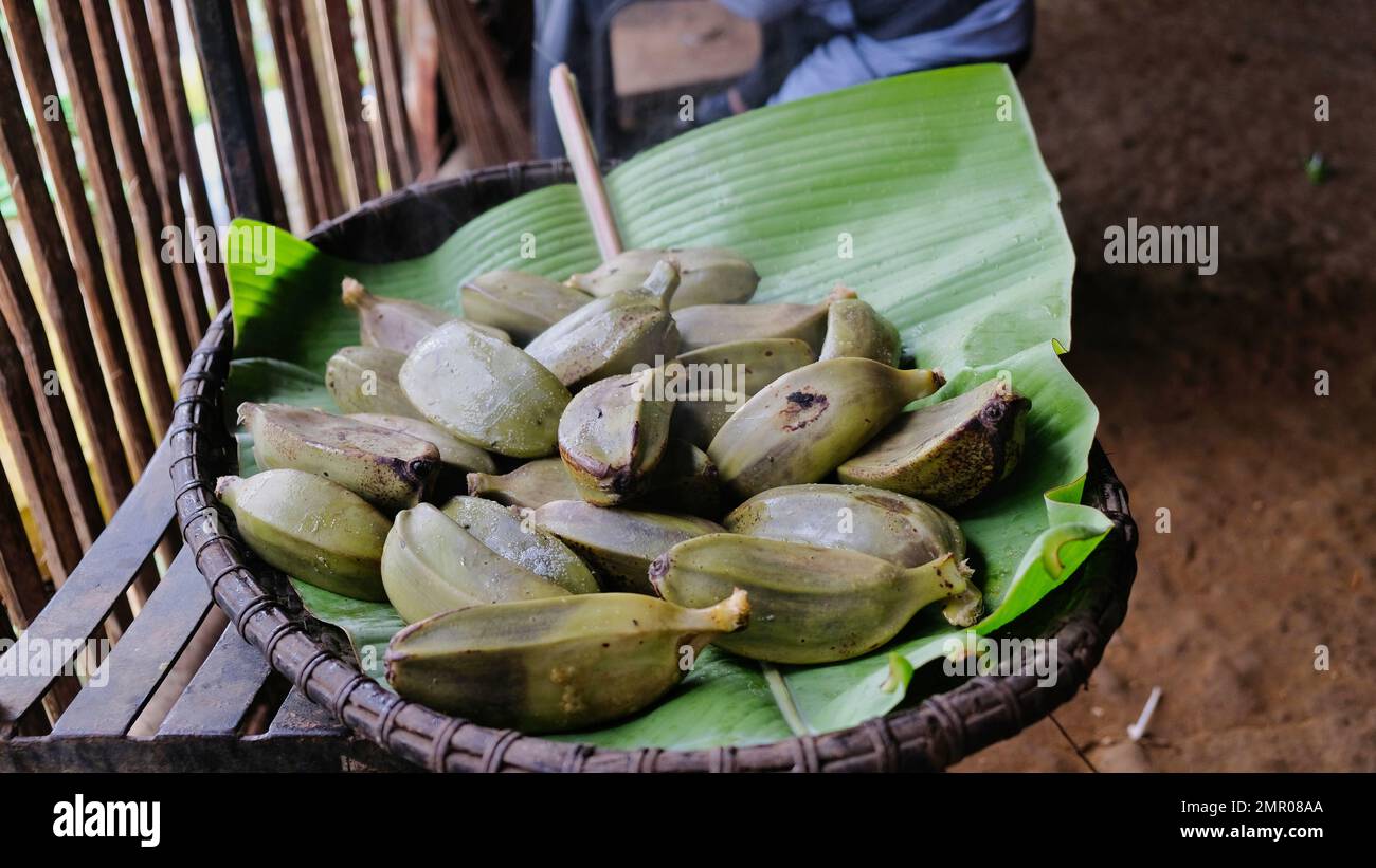The Excotics Fruits like Calamansi, Tomatoes they have excellent Flavor ...