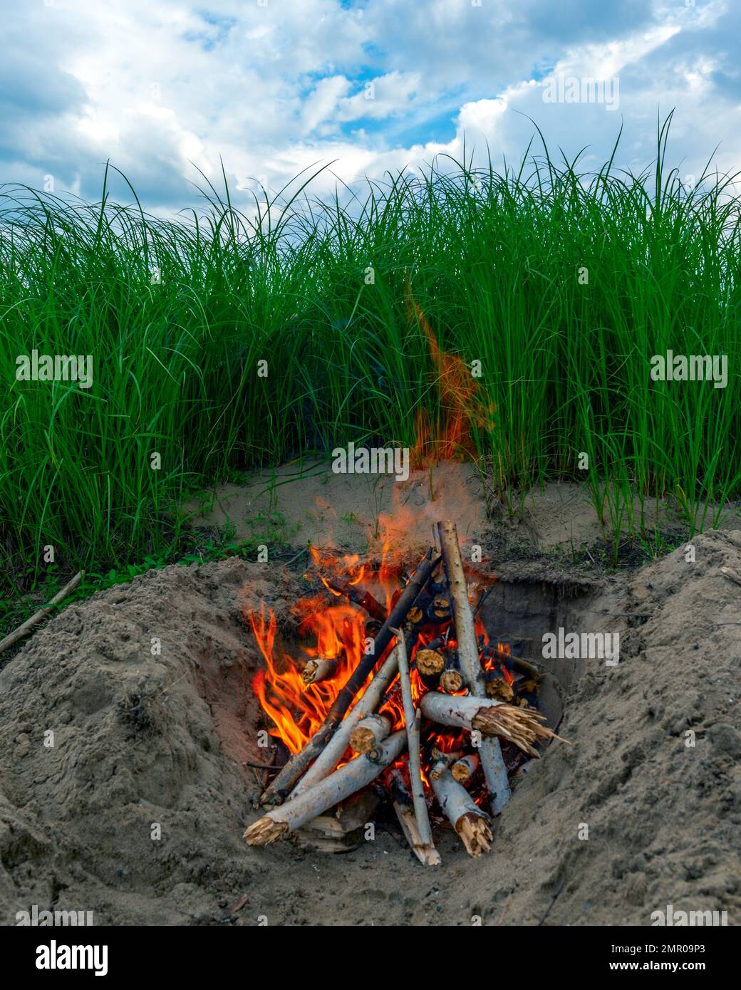 A bonfire burns during the day in the sand on the beach next to tall ...