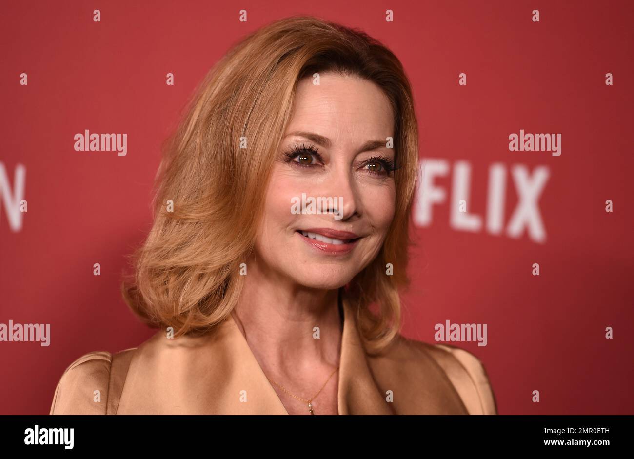 Sharon Lawrence arrives at the 2017 Patron of the Artists Awards at the ...