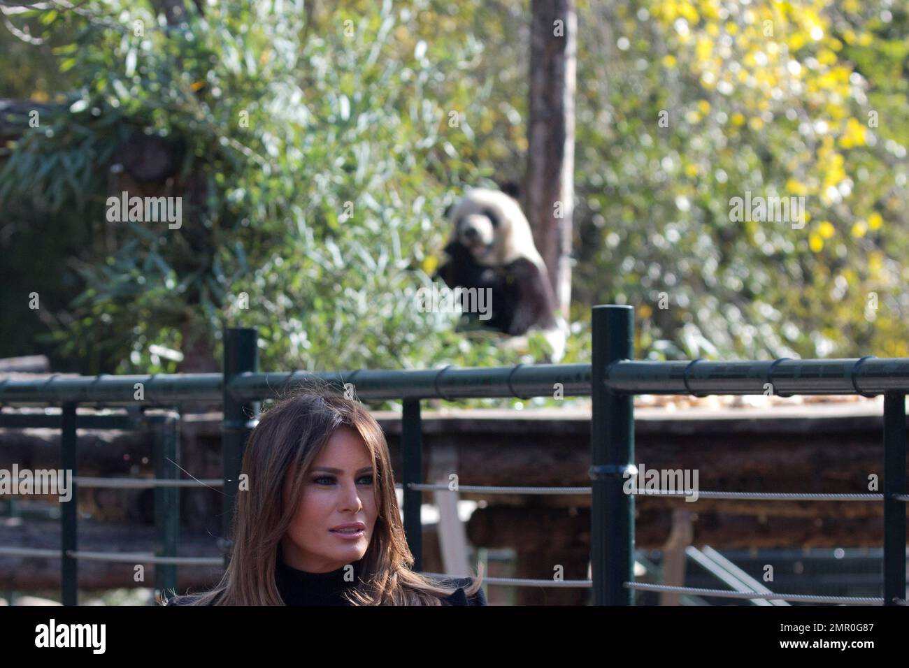 U.S. first lady Melania Trump poses for photos near the Panda enclosure ...