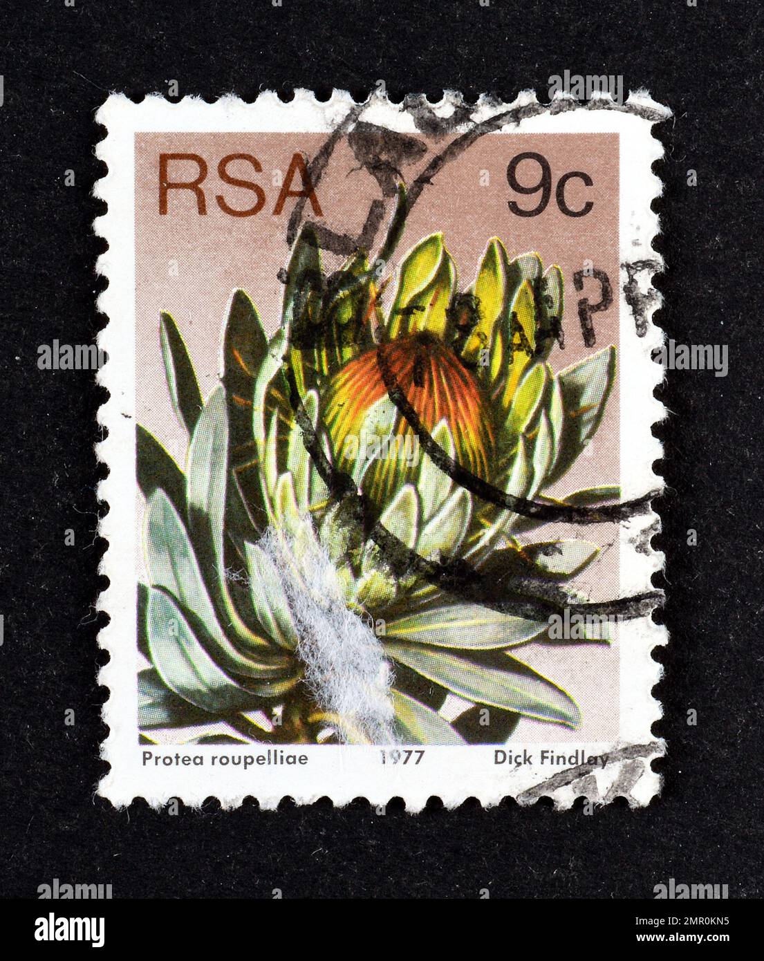 Cancelled postage stamp printed by South Africa, that shows Silver ...