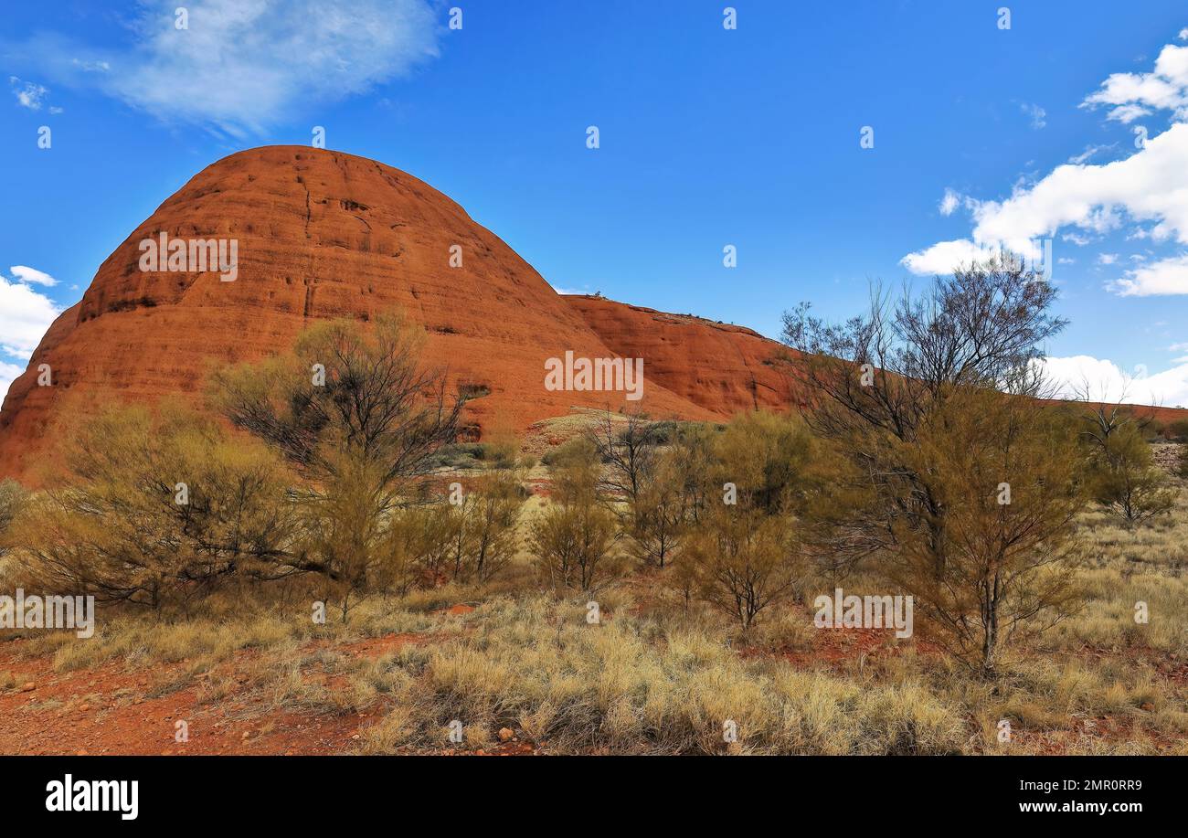 464 Huge dome on the south side of Walpa Gorge as seen from the Walpa ...