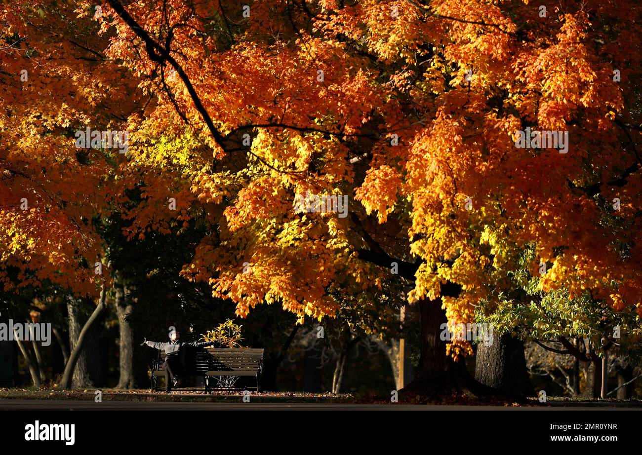 Maxine Williams stretches as she sits on a bench under trees as their ...