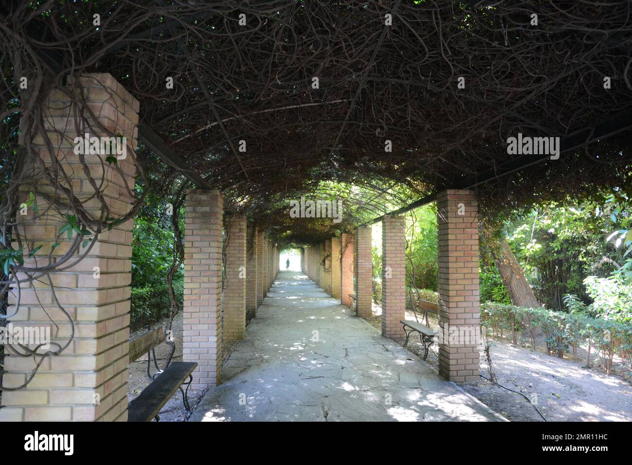 Athens botanic garden hi-res stock photography and images - Alamy