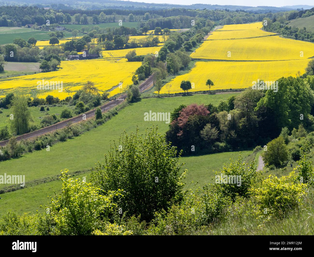 Denbies hillside national trust hi-res stock photography and images - Alamy