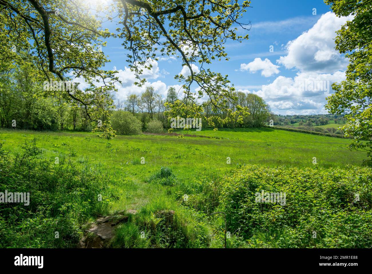 Narberth, Pembrokeshire. A stunning little market town in west Wales ...