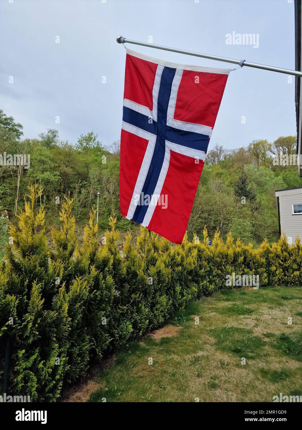 A vertical shot of a green garden lined with trees and the Norwegian ...