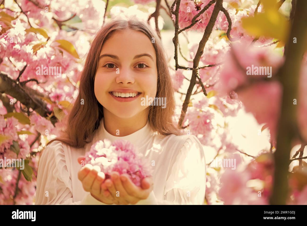 happy kid at sakura flower bloom in spring Stock Photo - Alamy