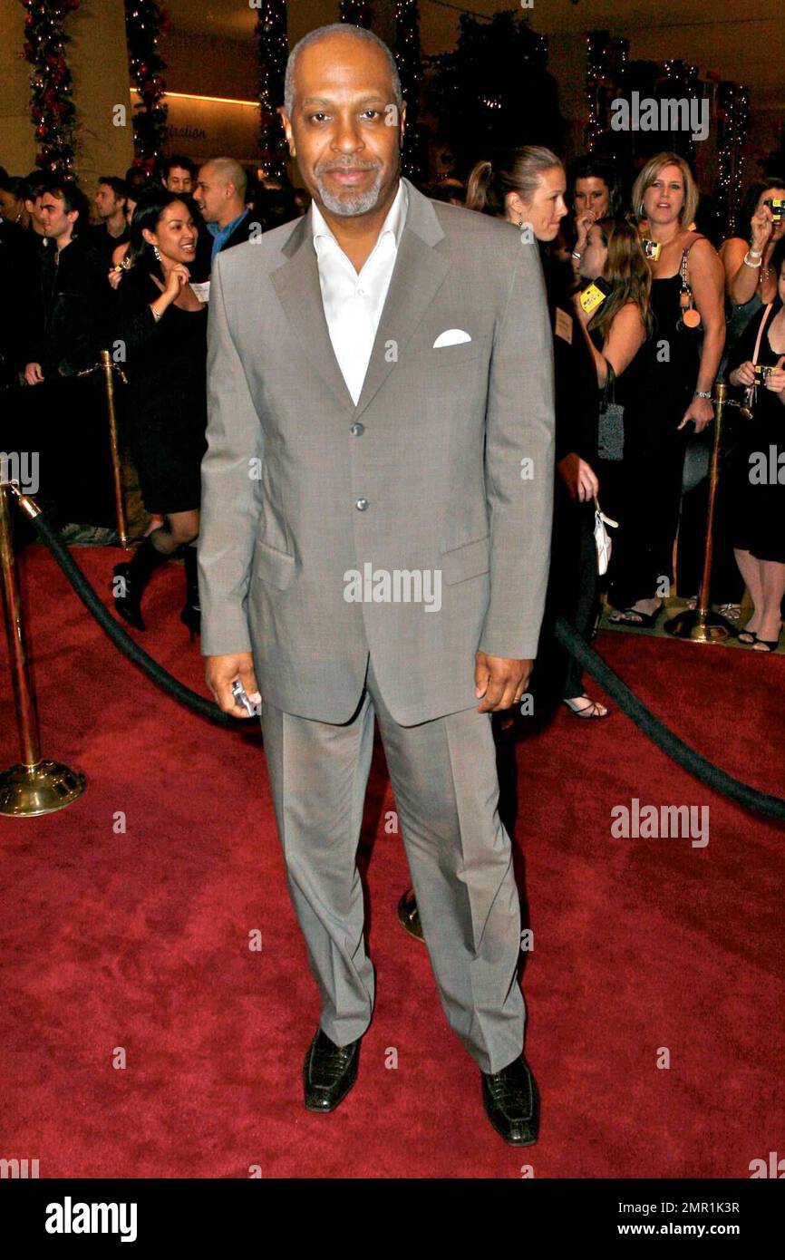 "Grey's Anatomy" star James Pickens, Jr. arrives at the Ninth Annual ...