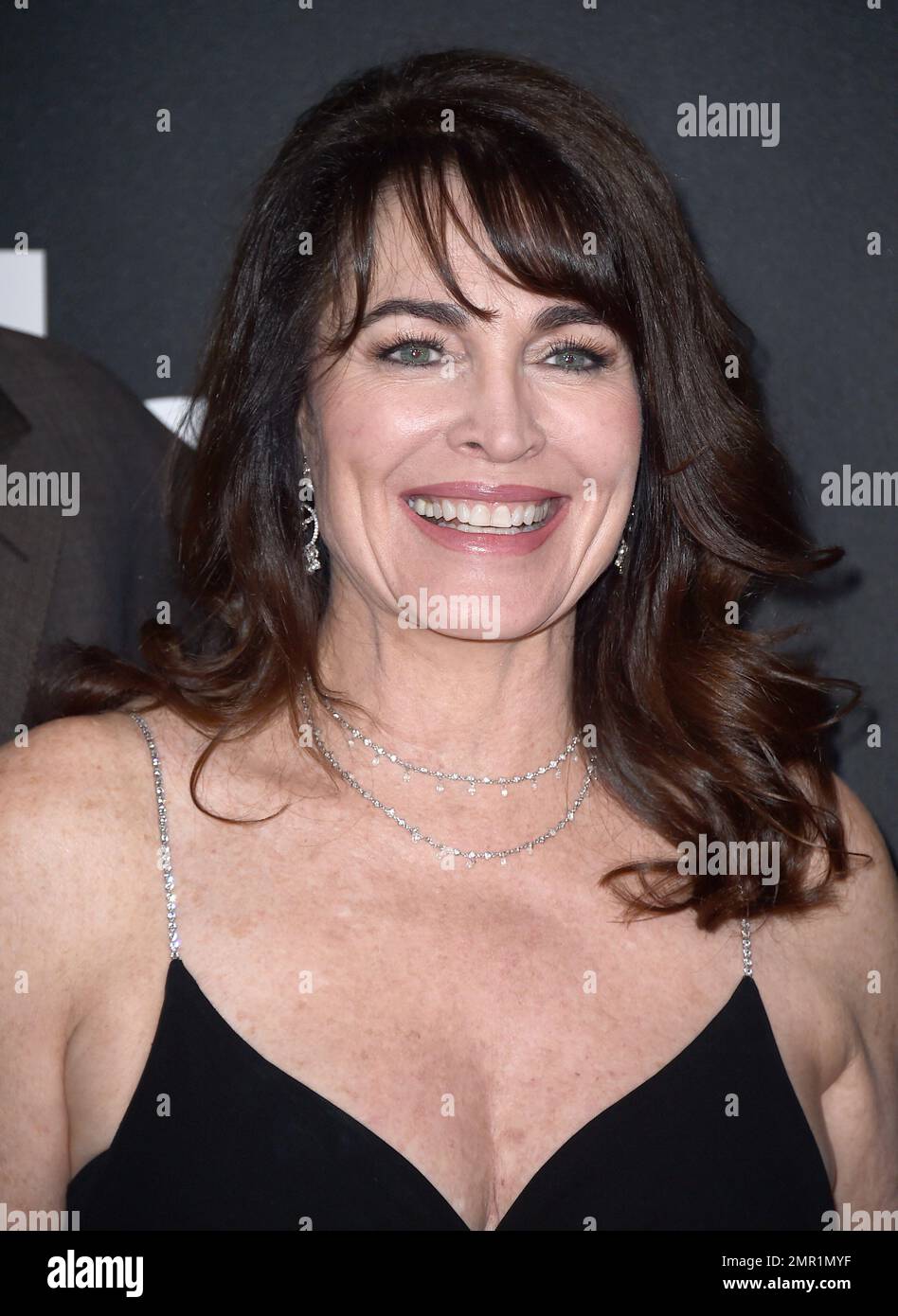 Cynthia Sikes arrives at the Hollywood Film Awards at the Beverly ...
