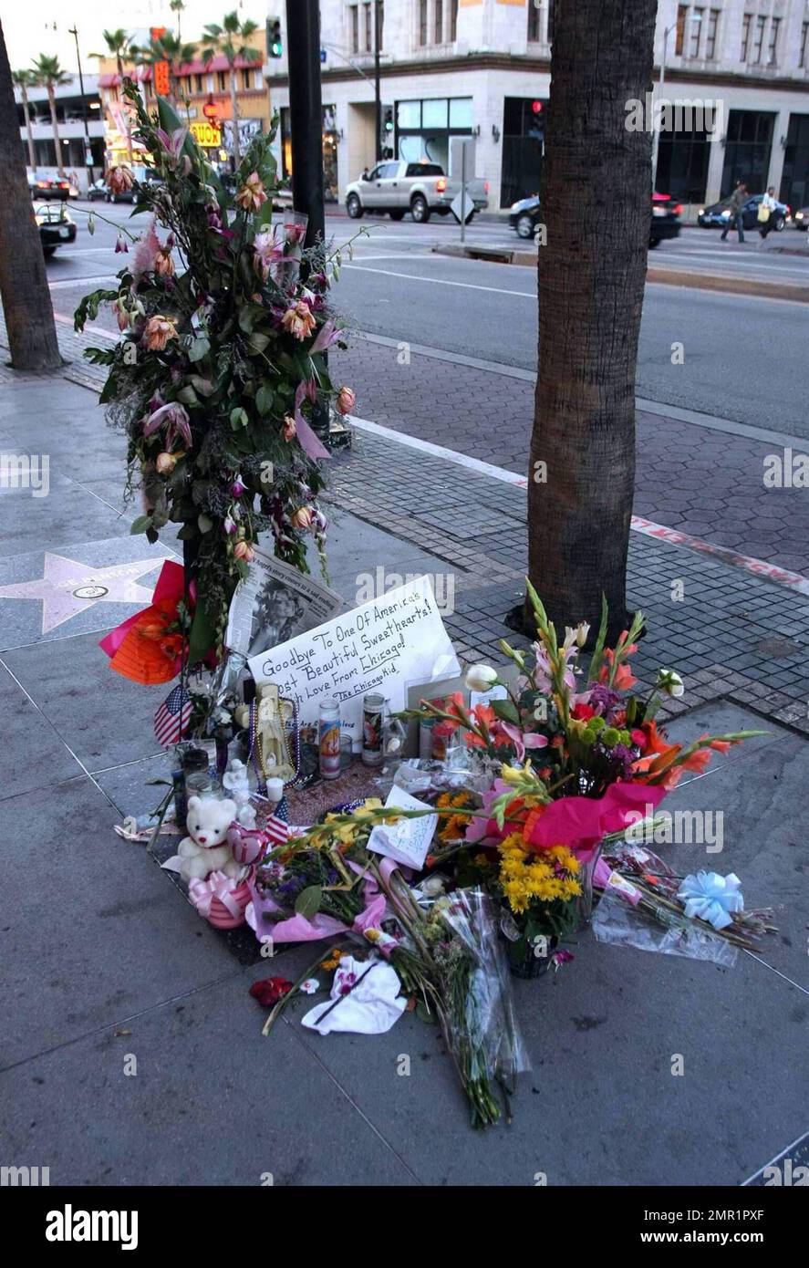 Fans pay tribute to Farrah Fawcett who lost her battle with cancer last ...