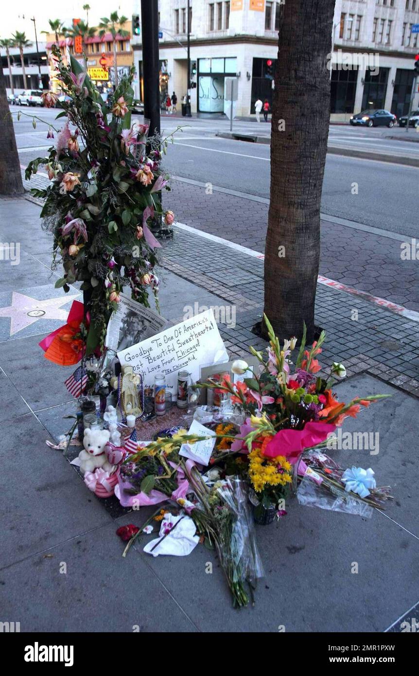 Fans pay tribute to Farrah Fawcett who lost her battle with cancer last ...