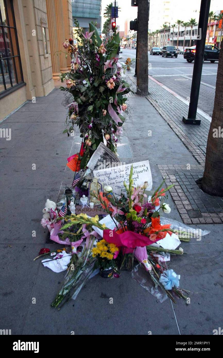 Fans pay tribute to Farrah Fawcett who lost her battle with cancer last ...